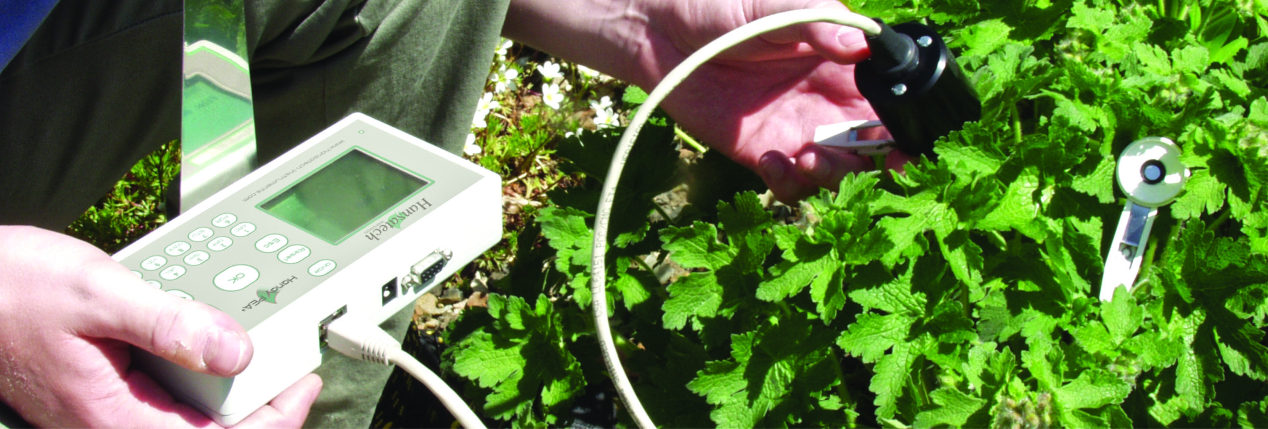 連続励起クロロフィル蛍光測定器 Handy PEA+ | 光計測・校正・光安全評価の旭光通商株式会社｜ISO/IEC 17025認定