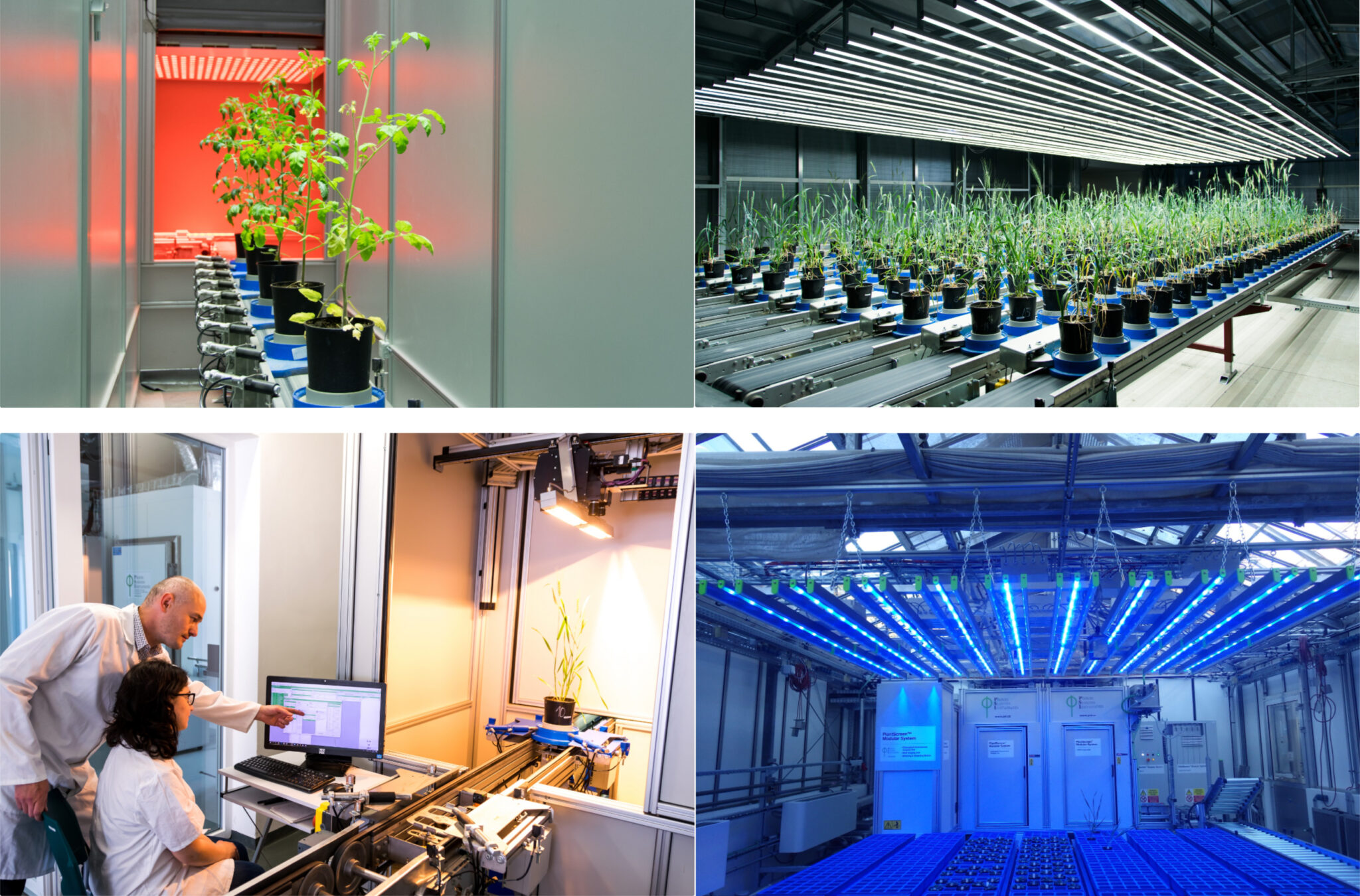 PlantScreen™システム | 光計測・校正・光安全評価の旭光通商株式会社｜ISO/IEC 17025認定